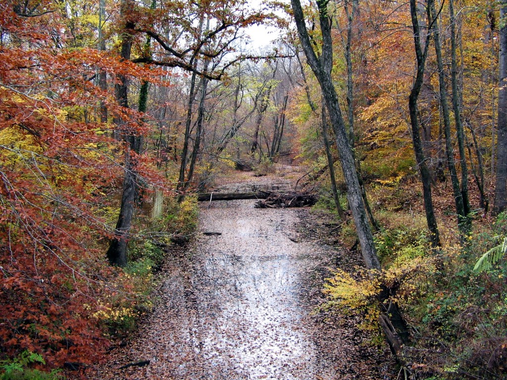 History | Tar River Land Conservancy
