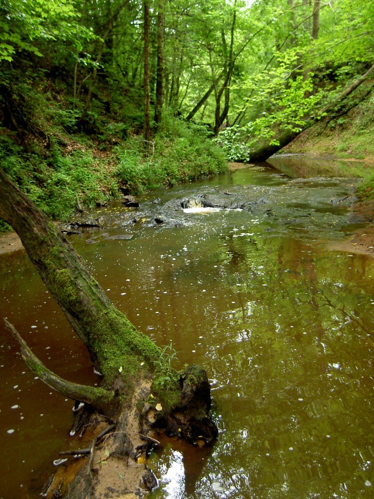 Nash County | Tar River Land Conservancy
