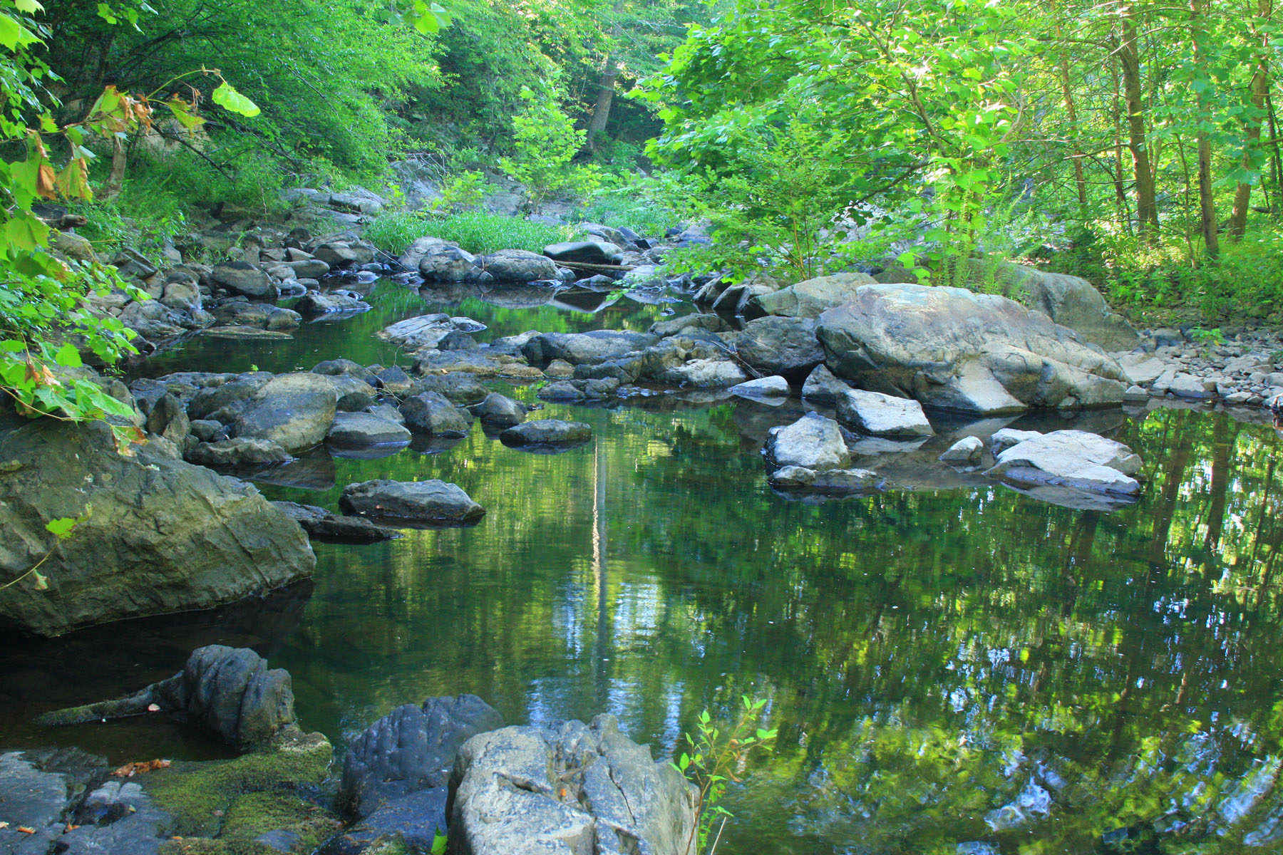 Granville County | Tar River Land Conservancy