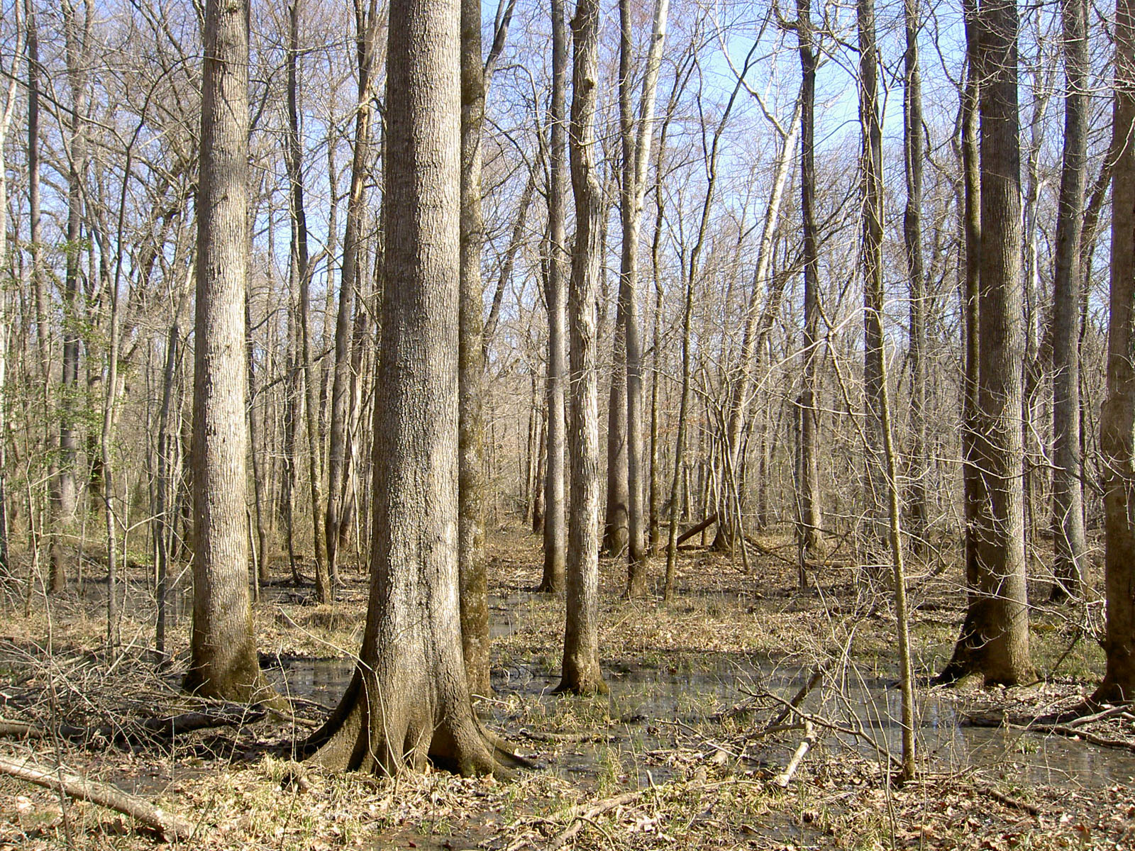 Warren County | Tar River Land Conservancy