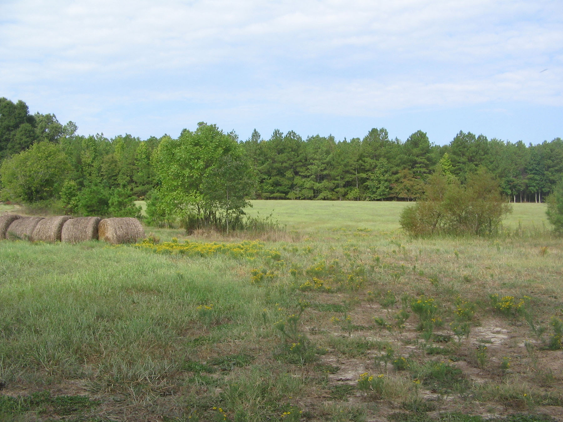 Granville County | Tar River Land Conservancy