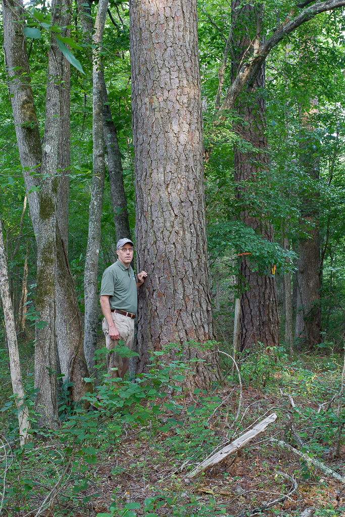 155 Acres Purchased on Robertson Creek Near Creedmoor | Tar River Land ...