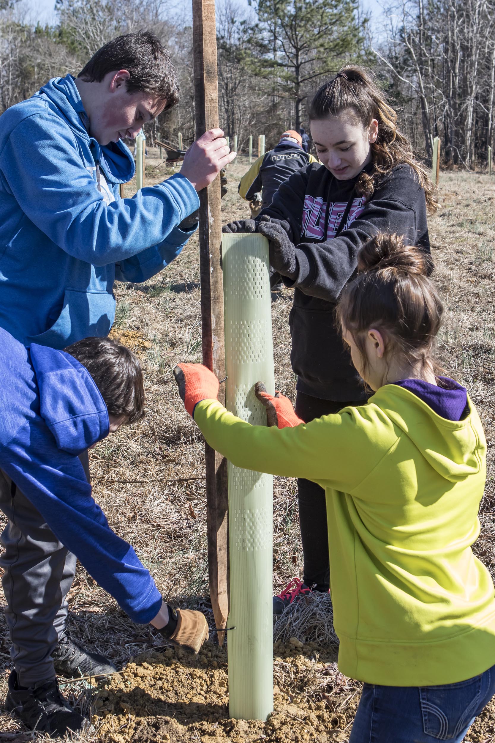 Students and Scouts Plant Trees at Ledge Creek Forest Conservation Area ...