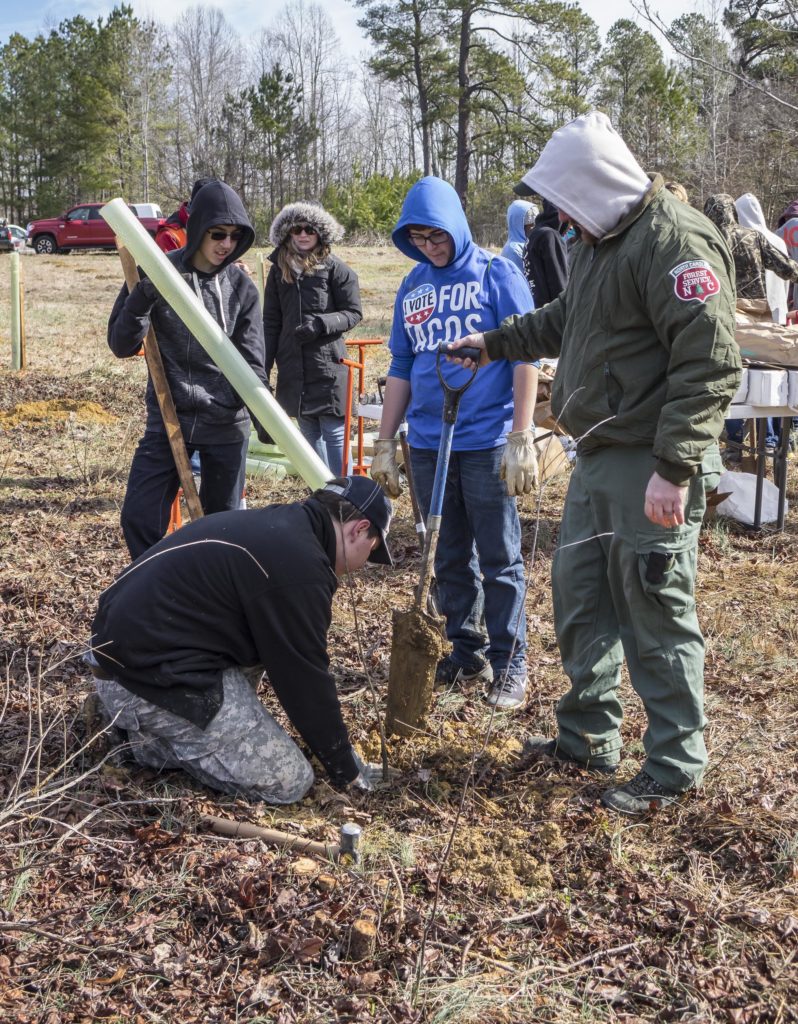 Students and Scouts Plant Trees at Ledge Creek Forest Conservation Area ...